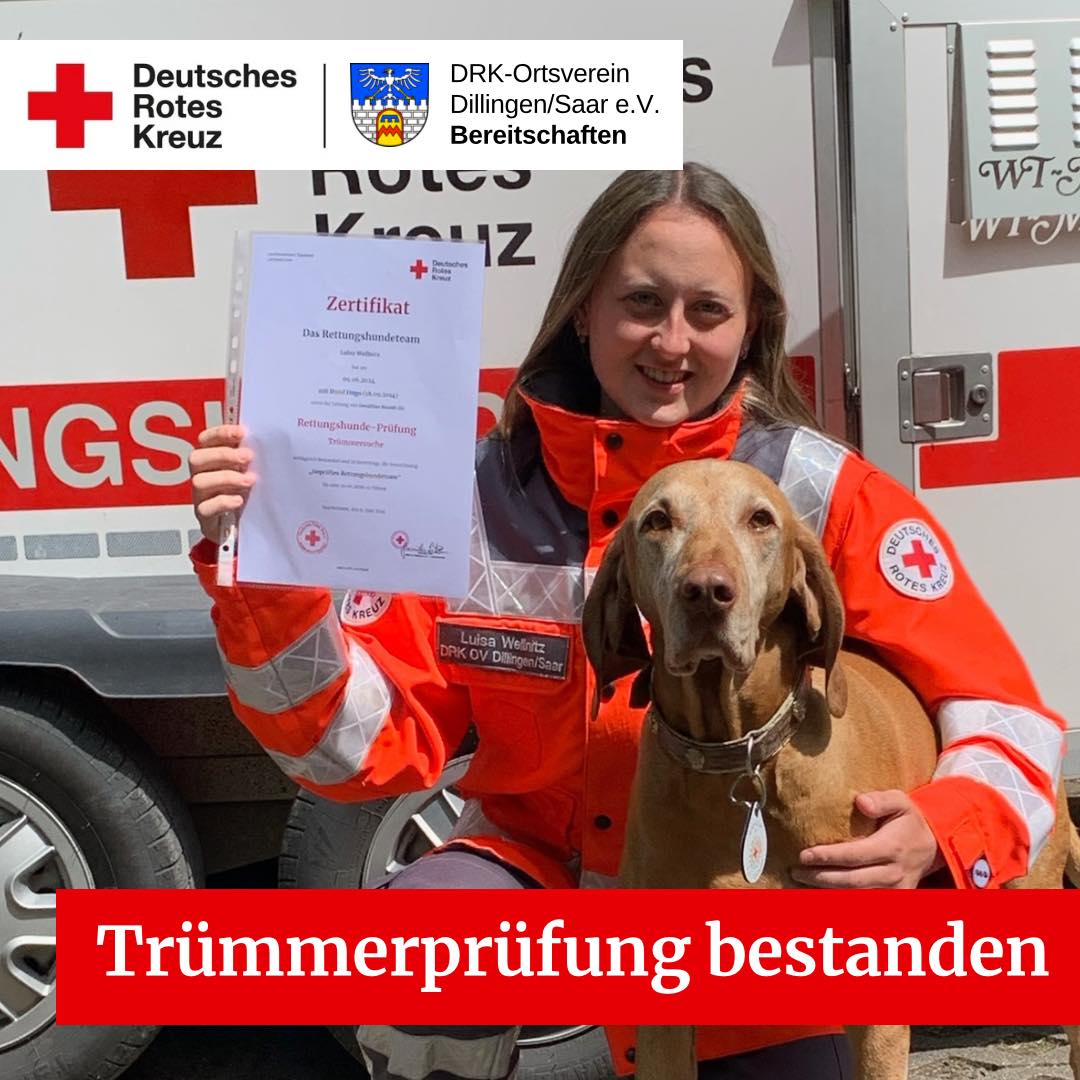 Heute hat unser Team Luisa Wellnitz mit Hugo die Prüfung zum ...